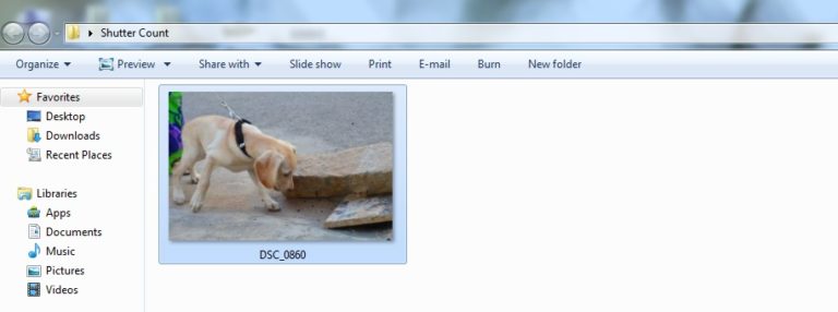 How to check Shutter count in Your DSLR Camera without Spending - Photopedia